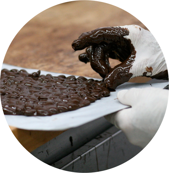 Chocolate Cat Figurine | Li-Lac – Li-Lac Chocolates